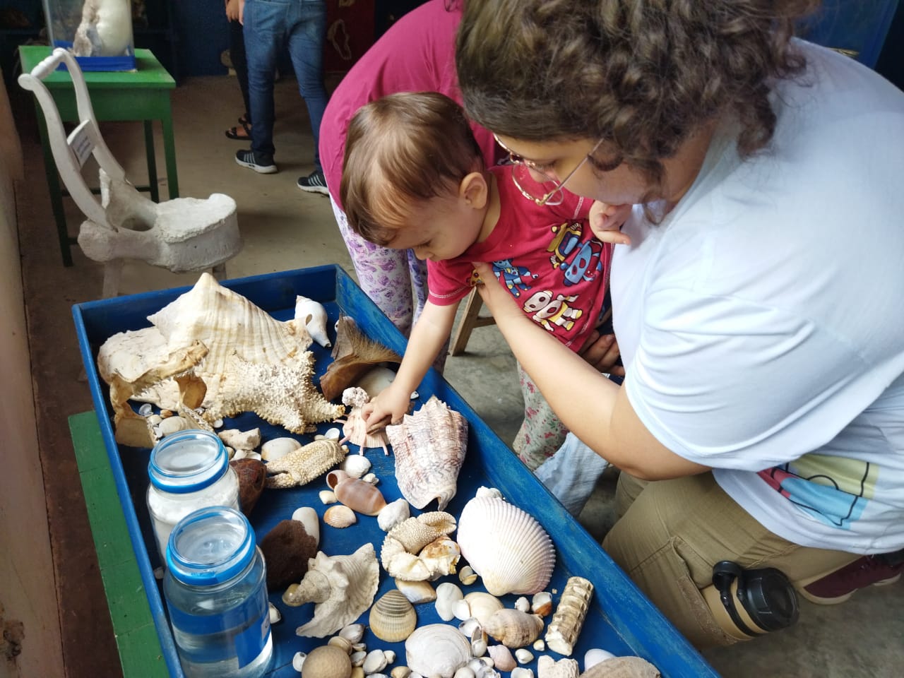 Imagens – Instituto de Ciências do Mar – Labomar