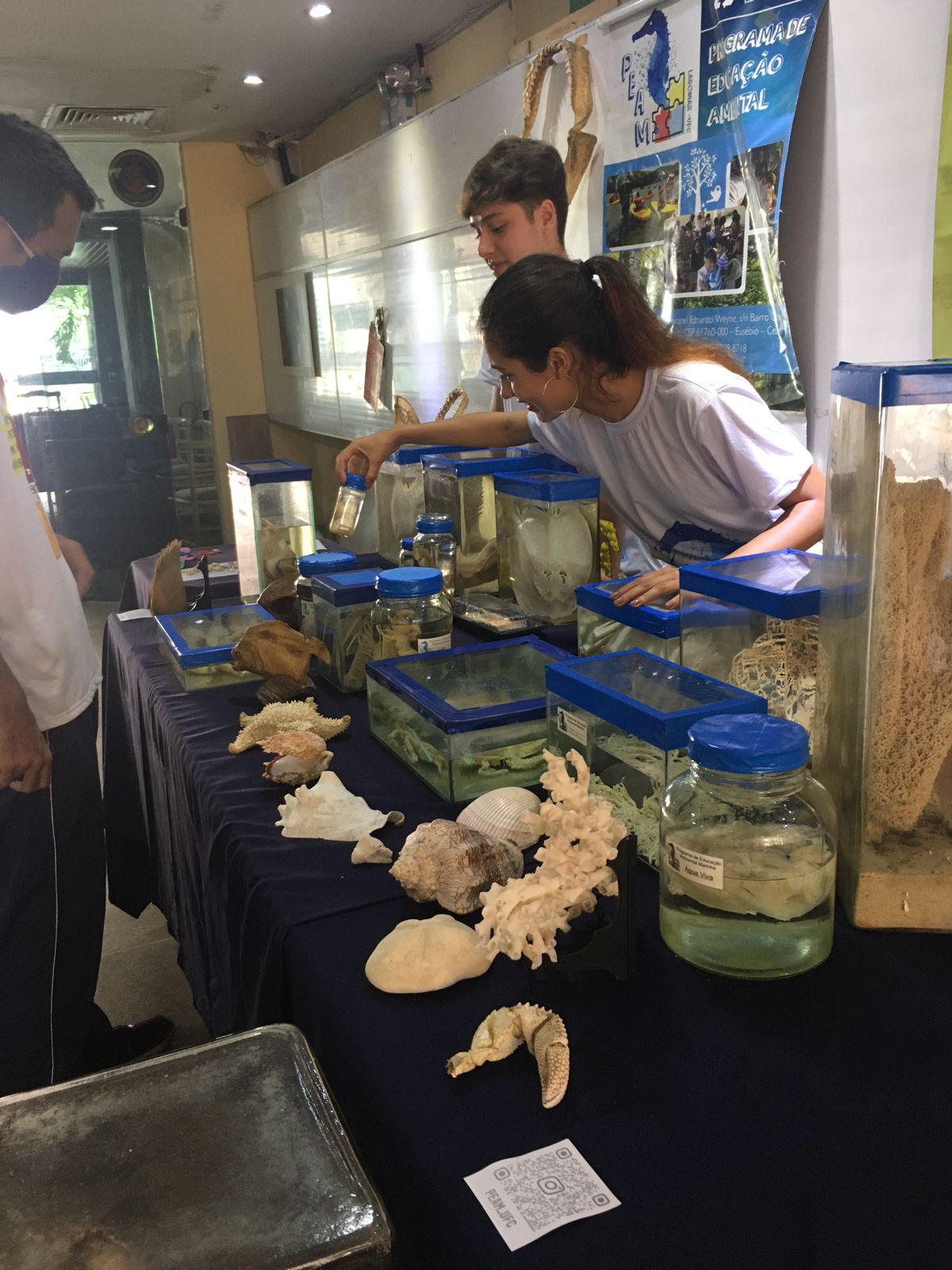 Imagens – Instituto de Ciências do Mar – Labomar